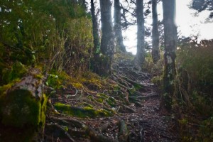 Climbing Jade Mountain (Yushan) in Taiwan