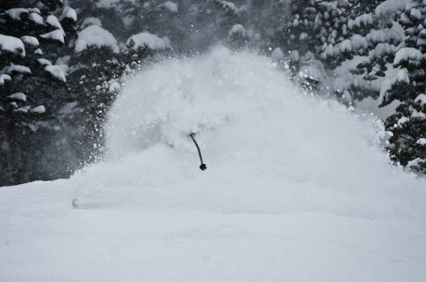 Jackson Hole Powder Porn Photos