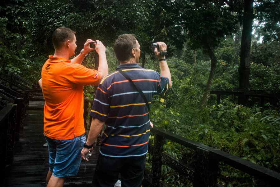 Why Every Traveler Needs To Visit Borneo Once